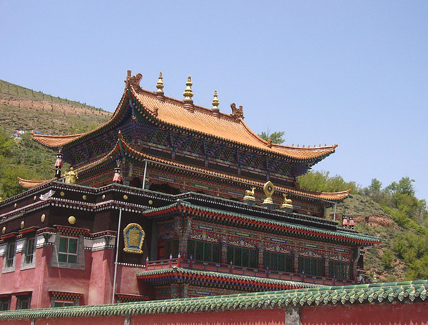 5 Days Birdwatching Tour to Qinghai Lake,Xining, China tours, China ...