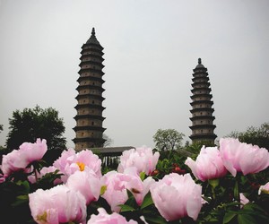 Taiyuan Travel Guide, Taiyuan Tour Guide, Attractions&Weather Forecast ...