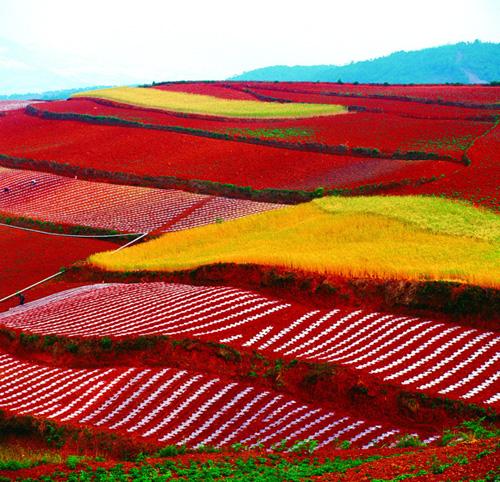 Dongchuan Red Land, Red Earth in Dongchuan Kunming