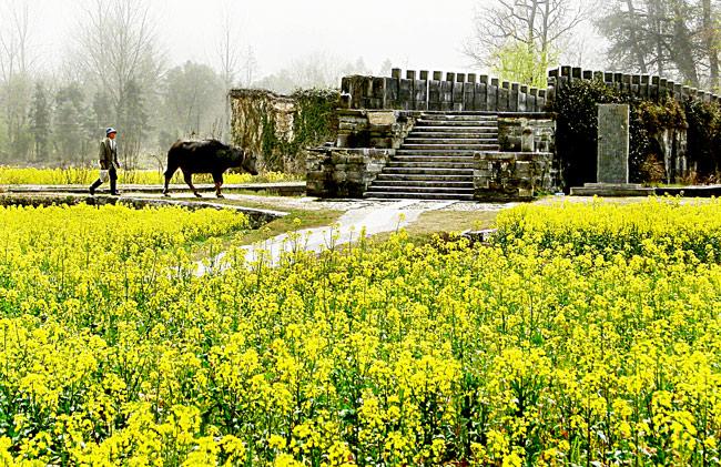Nanping Ancient Village Huangshan, Huangshan Attraction