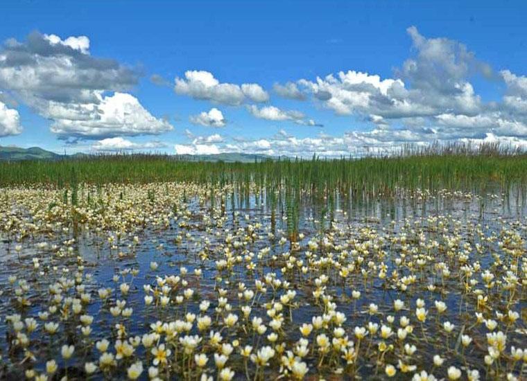 Flower Lake Aba, Aba Attraction