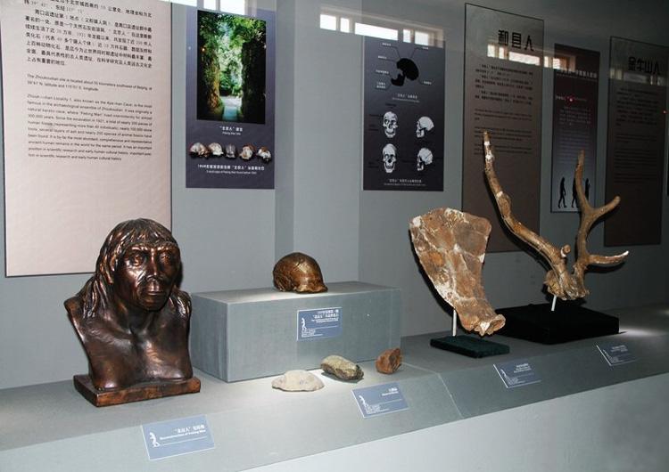 Peking Man Site, Peking Man Site at Zhoukoudian, The Peking Man