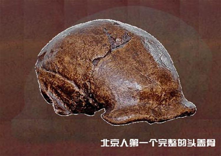 Peking Man Site, Peking Man Site at Zhoukoudian, The Peking Man