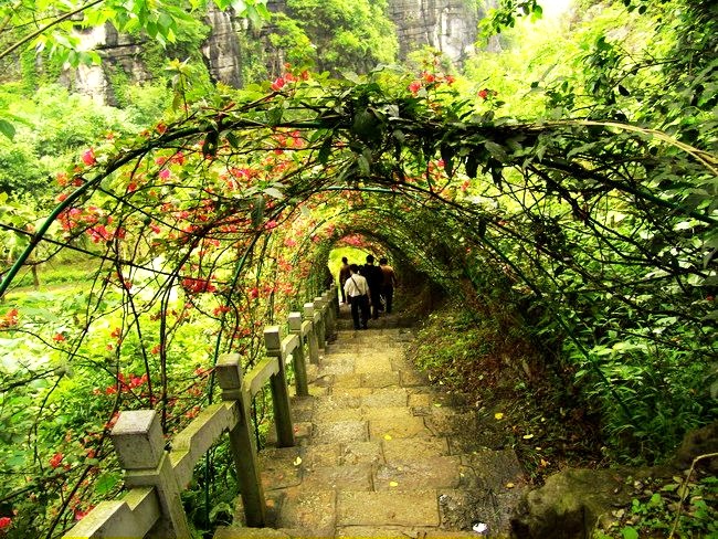 Butterfly Spring Photo, Butterfly Spring Photos, Dali Picture, Dali ...