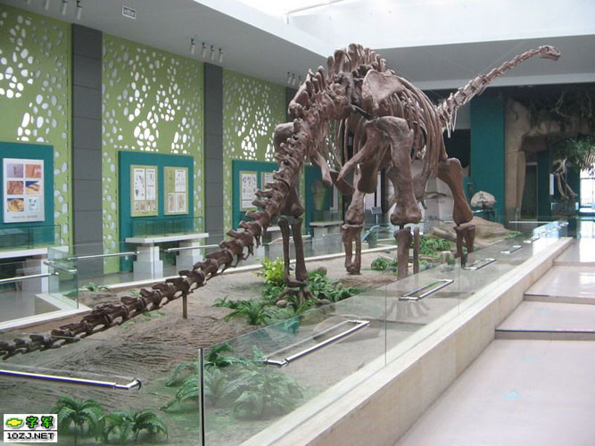 Gansu Provincial Museum, Gansu Museum Lanzhou