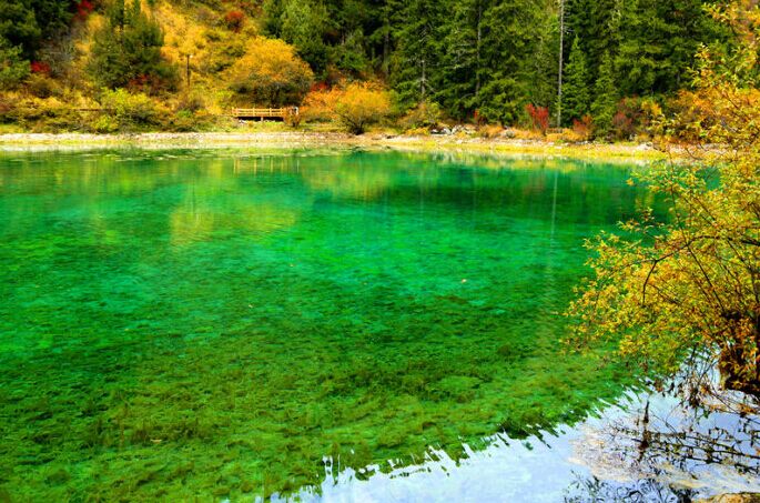 Muni Valley Aba, Aba Attraction