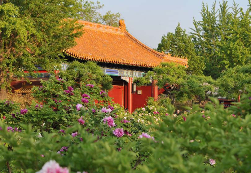 Beijing Jingshan Park Beijing, Beijing Attraction