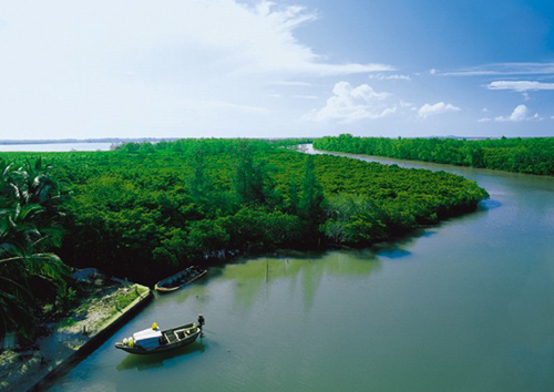 Dongzhai Harbor Mangrove Natural Reserve Area Photo, Dongzhai Harbor ...