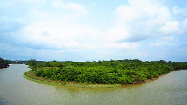 Dongzhai Harbor Mangrove Natural Reserve Area Photo, Dongzhai Harbor ...