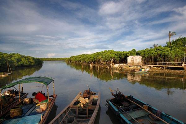 Dongzhai Harbor Mangrove Natural Reserve Area Haikou, Haikou Attraction