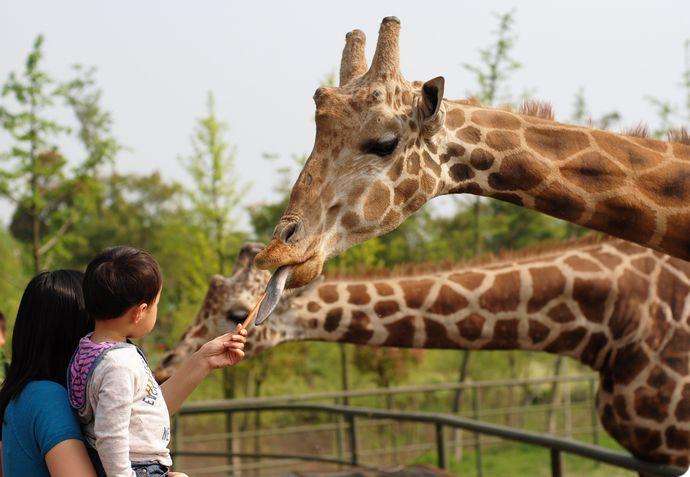 Hainan Tropical Wildlife Park and Botanical Garden Photo, Hainan ...
