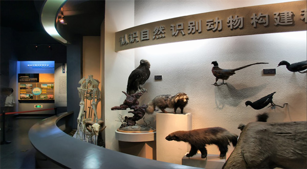 Inner Mongolia Museum Hohhot, Inner Mongolia Autonomous Region Museum