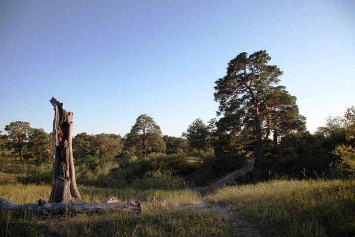 Hailar National Forest Park Hulunbuir, Hulunbuir Attraction