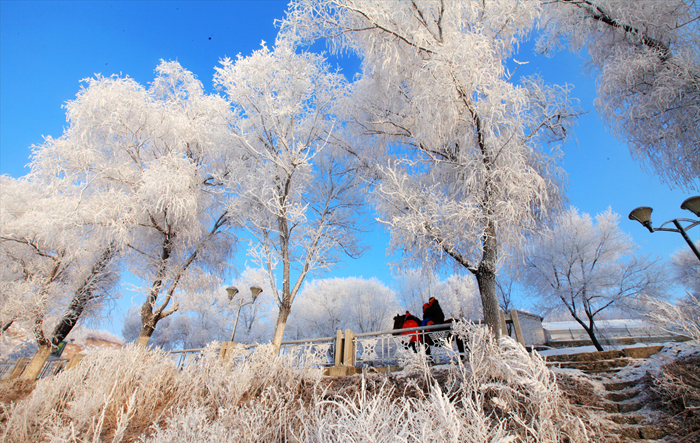 Jilin Rime, Jilin Rime Festival