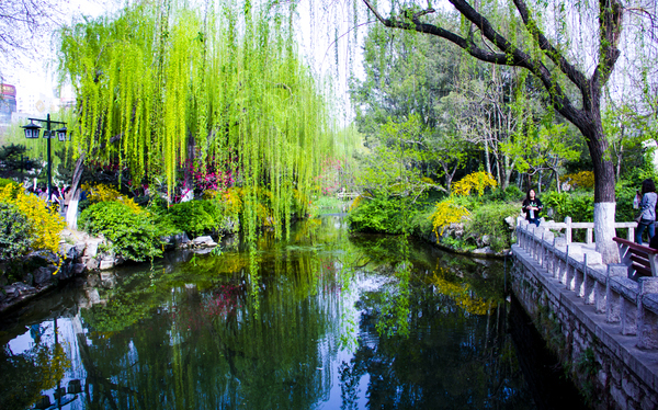 Baotu Spring, Jinan Baotu Spring Park, Baotu Quan