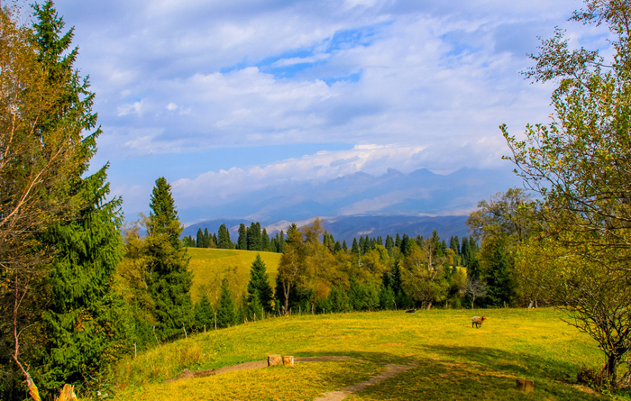 Heavenly Mountain(Tian Shan), Xinjiang Tianshan Mountain