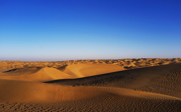 Xinjiang Taklamkan Desert