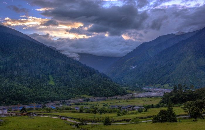 Lhasa Lulang Forest Sea (Lu Lang Lin Hai), Tibet
