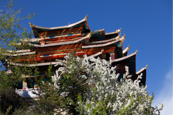 Hundred Chicken Temple Photo, Hundred Chicken Temple Photos, Diqing ...