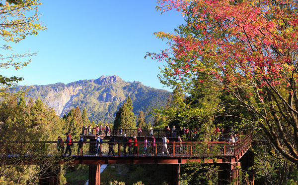 Ali Mountain Taipei, Alishan National Scenic Area Taiwan, China