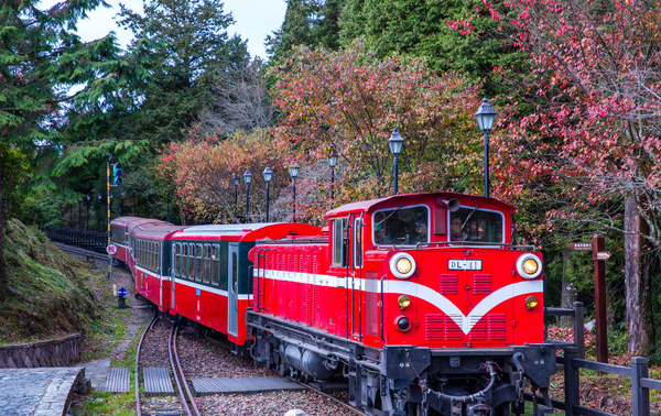 Ali Mountain Taipei, Alishan National Scenic Area Taiwan, China