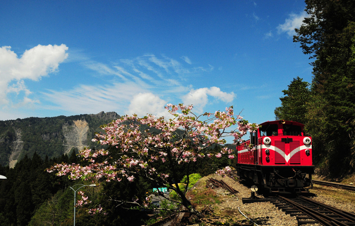 Ali Mountain Taipei, Alishan National Scenic Area Taiwan, China