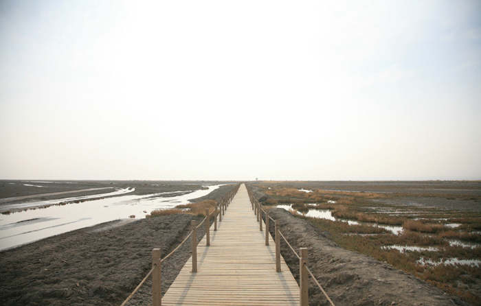 Aydingkol Lake Turpan, Xinjiang