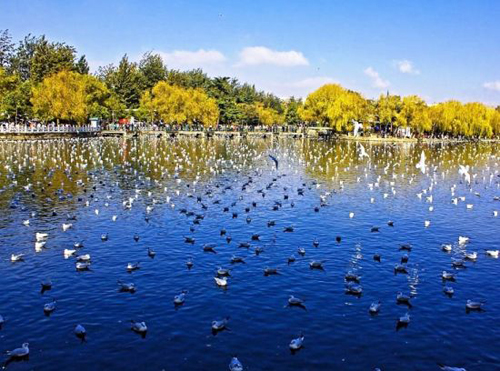 Green Lake Park Kunming, Kunming Attraction