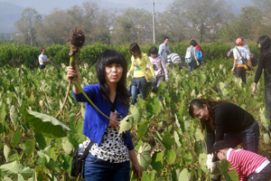 One Day Rural Life Experience Tour to Lipu of Guilin, China Travel Blog ...
