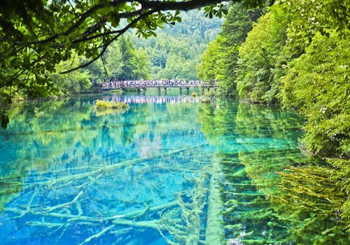 Paradise on earth - Cool Summer in Jiuzhaigou National Park, China ...